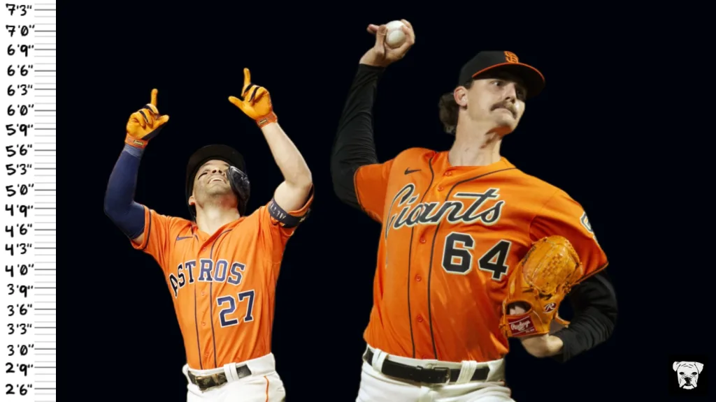 Average Height of MLB Players in 2025 (By Position)